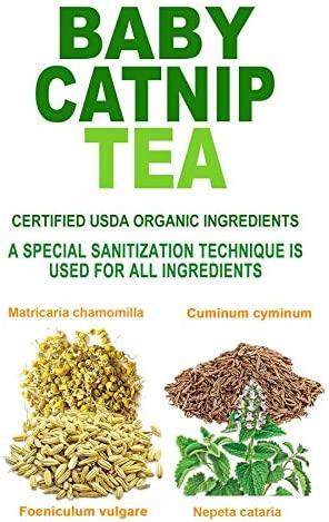 Secrets of Tea Catnip Colic Tea - USDA Organic Herbal Relief for Babies ...