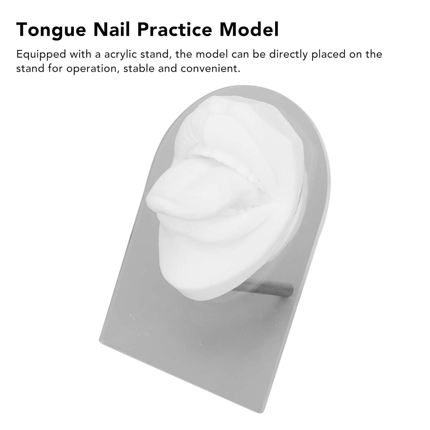 Silicone Tongue Model Set | Eco-Friendly & Reusable Tongue Exercise ...