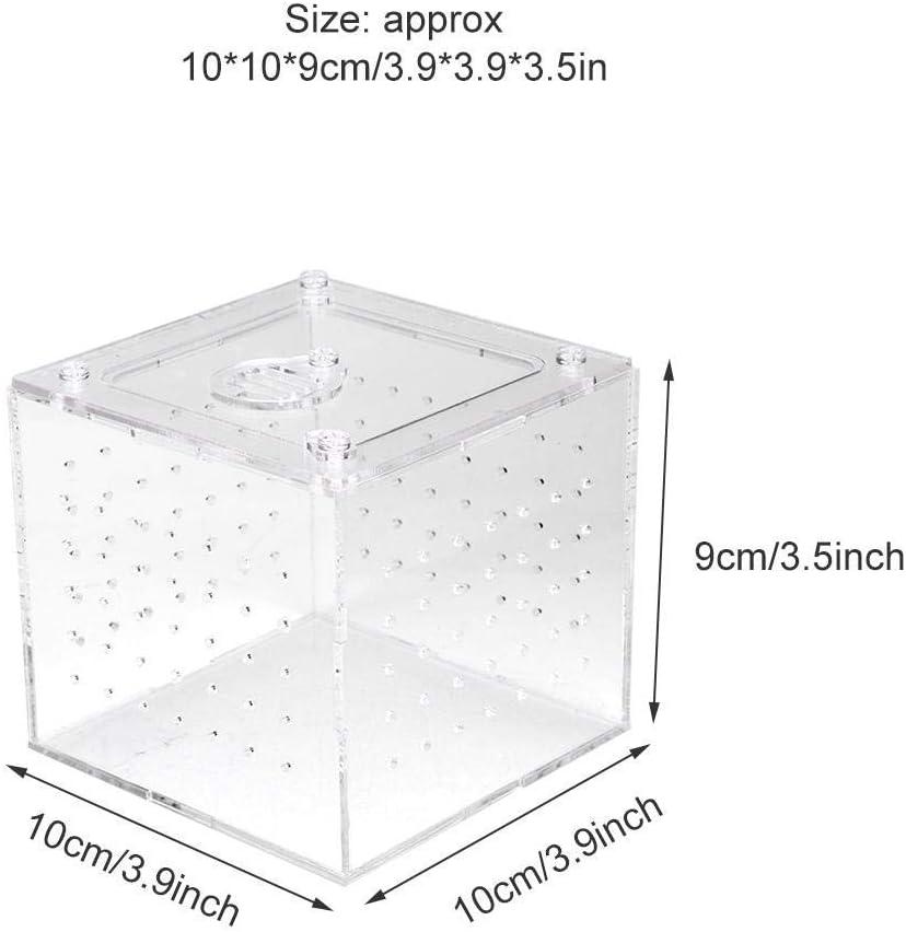 Acrylic Reptile Breeding Box Transparent Live Food Storage Insect ...