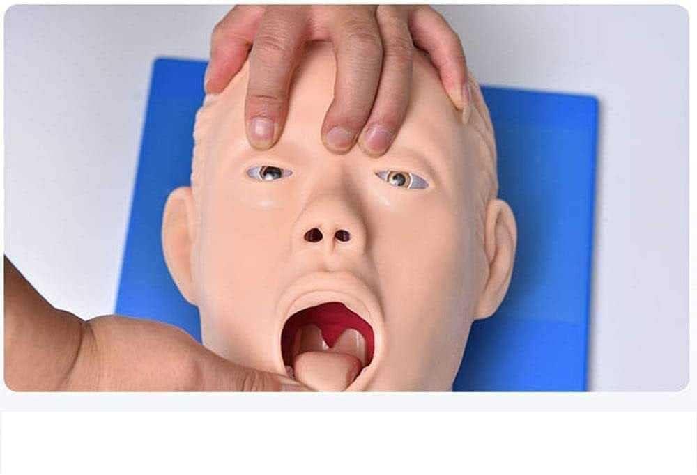 Tracheal Intubation Simulator | Oral Nasal Airway Management Trainer ...