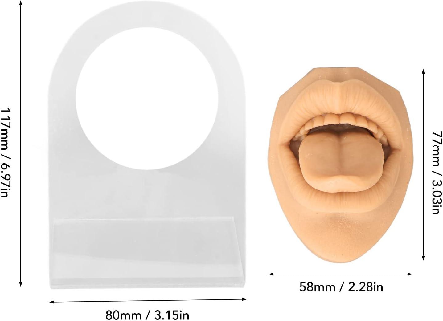 Realistic Human Tongue Model - Silicone Tongue Display for Jewelry ...