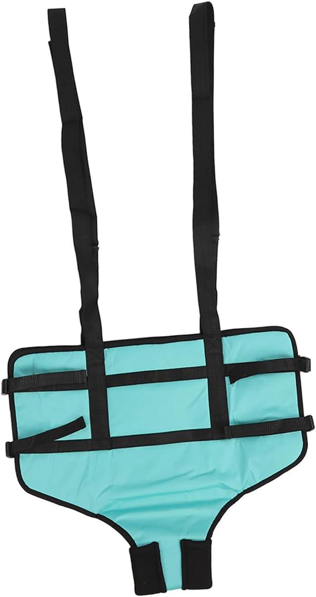 Patient Belts & Standing Aids | 4-Point Support Dirt-Repellent Toilet ...