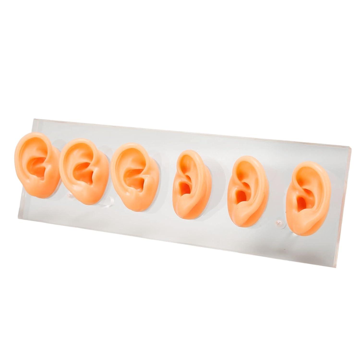 6 Pcs Silicone Ear Model Set for Hearing Aids with Acrylic Display ...