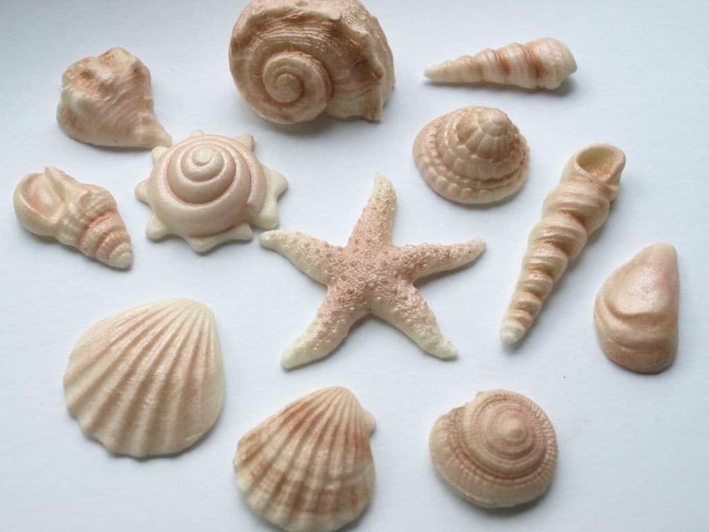 Rainbow Cake Toppers 24x Edible Sea Shells Cupcake Decorations Mermaid ...