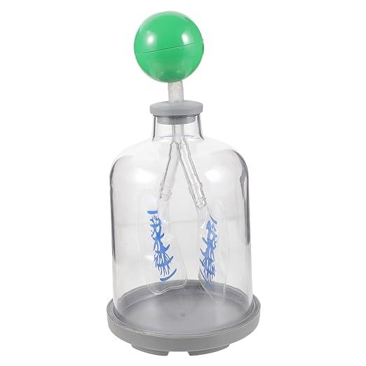 SOLUSTRE 2pcs Lung Breathing Model Respiratory System Toy Human Body ...