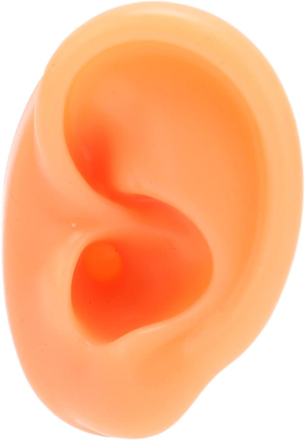 Flexible Reusable Human Ear Model for Piercing Training - Left Ear ...