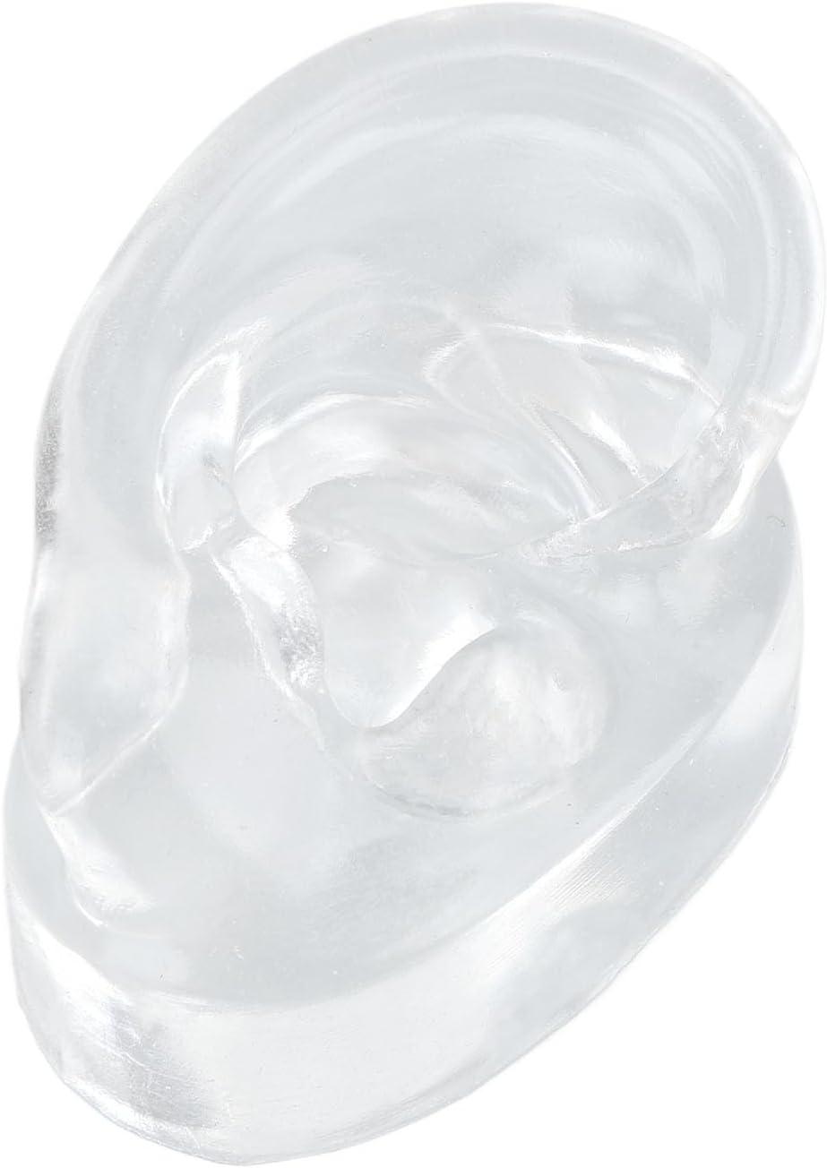 High-Quality Silicone Human Right Ear Model for Ear Sewing Practice ...