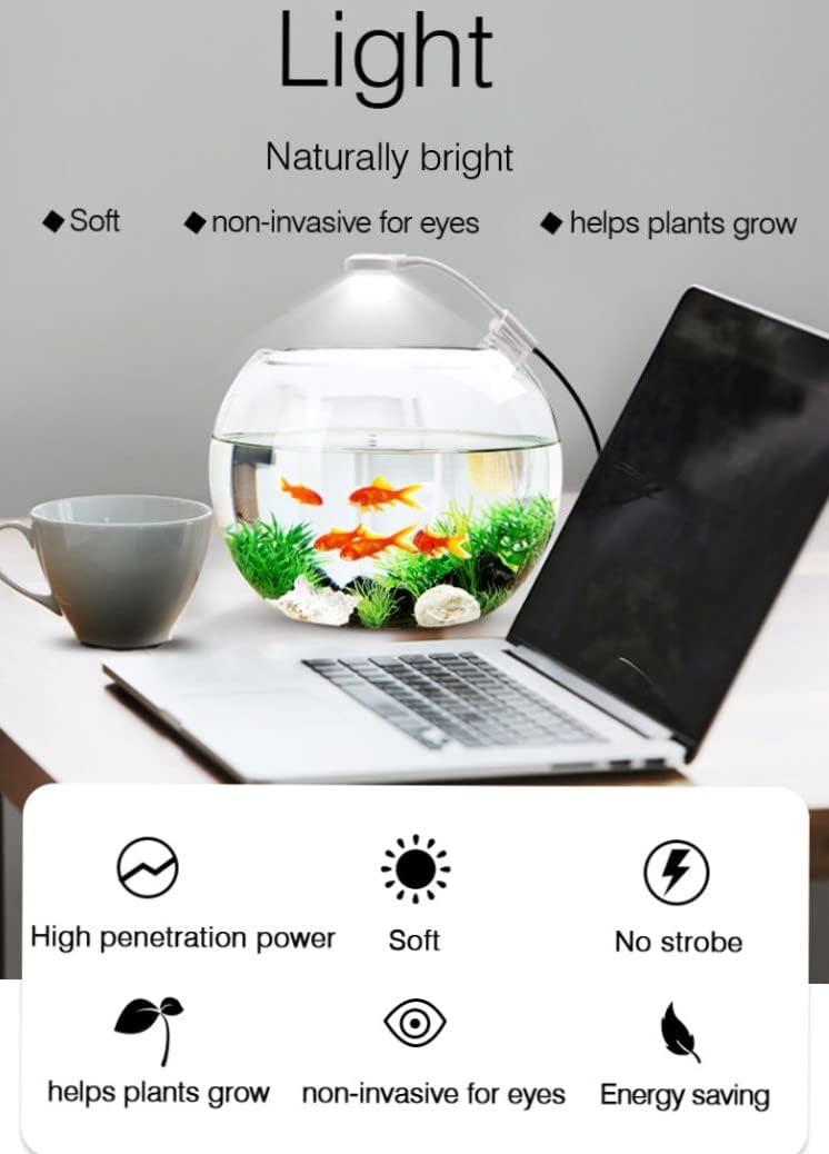 Mini Aquarium USB Led Light 5W for Small Fish Tank | Clip-On Freshwater ...