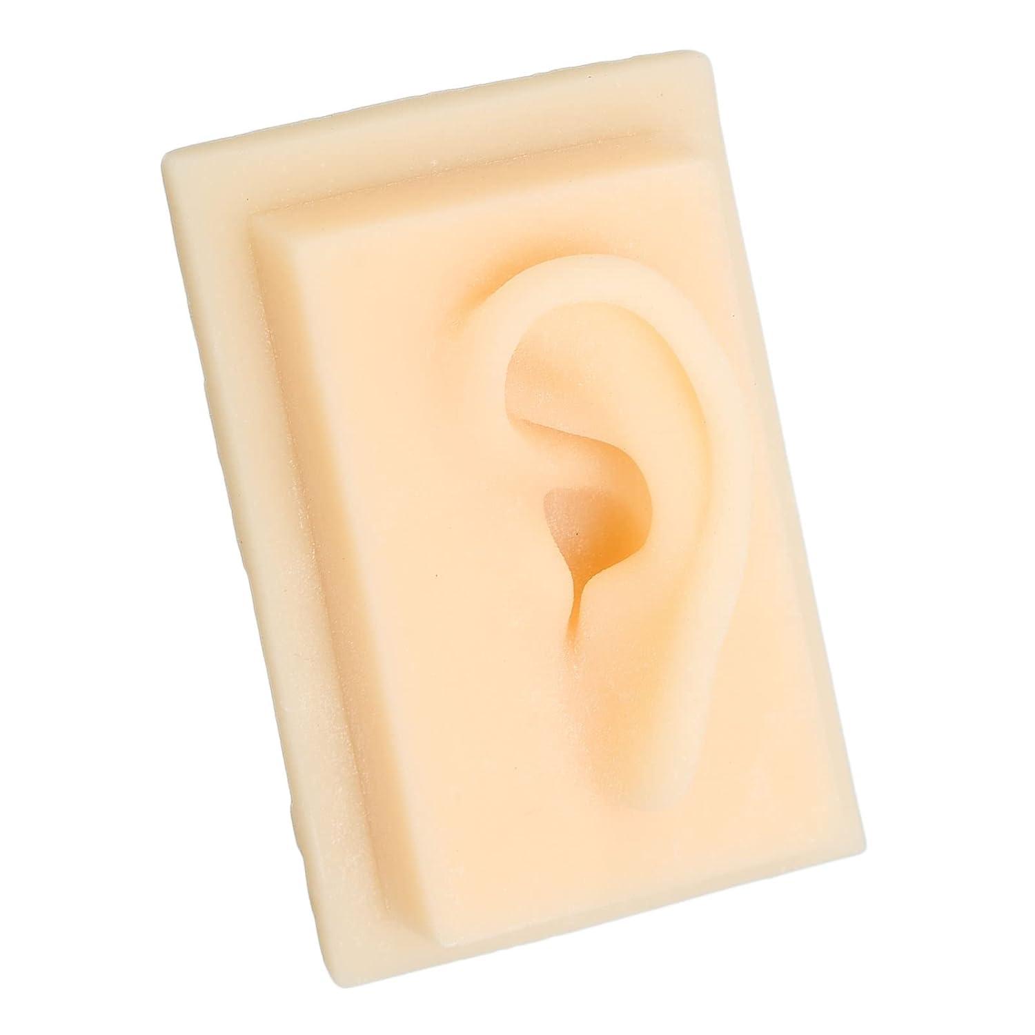 Silicone Ear Model - Shiny Texture & Vivid Shape | Soft Left Ear Model ...