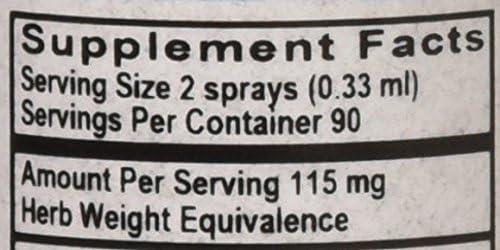 L A NATURALS Congestion & Sinus Blaster Spray 1.0oz - Fast Relief ...