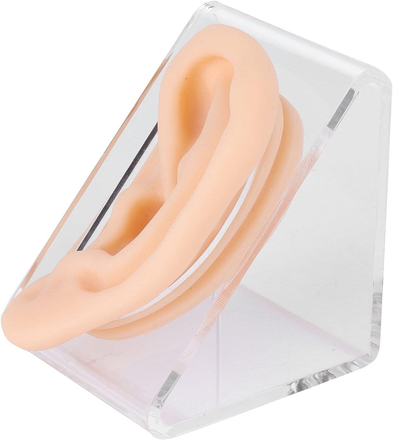 Silicone Ear Model for Acupuncture Practice - Hospital Display ...