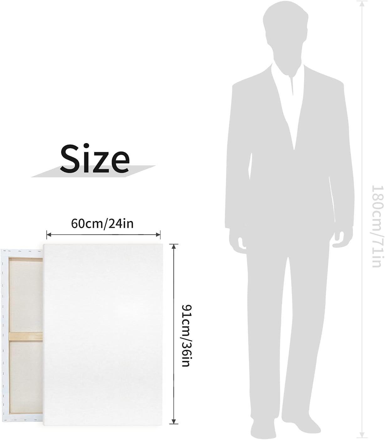 24x36 Pre Stretched Canvases 2 Pack - Large Blank Canvas Boards for ...