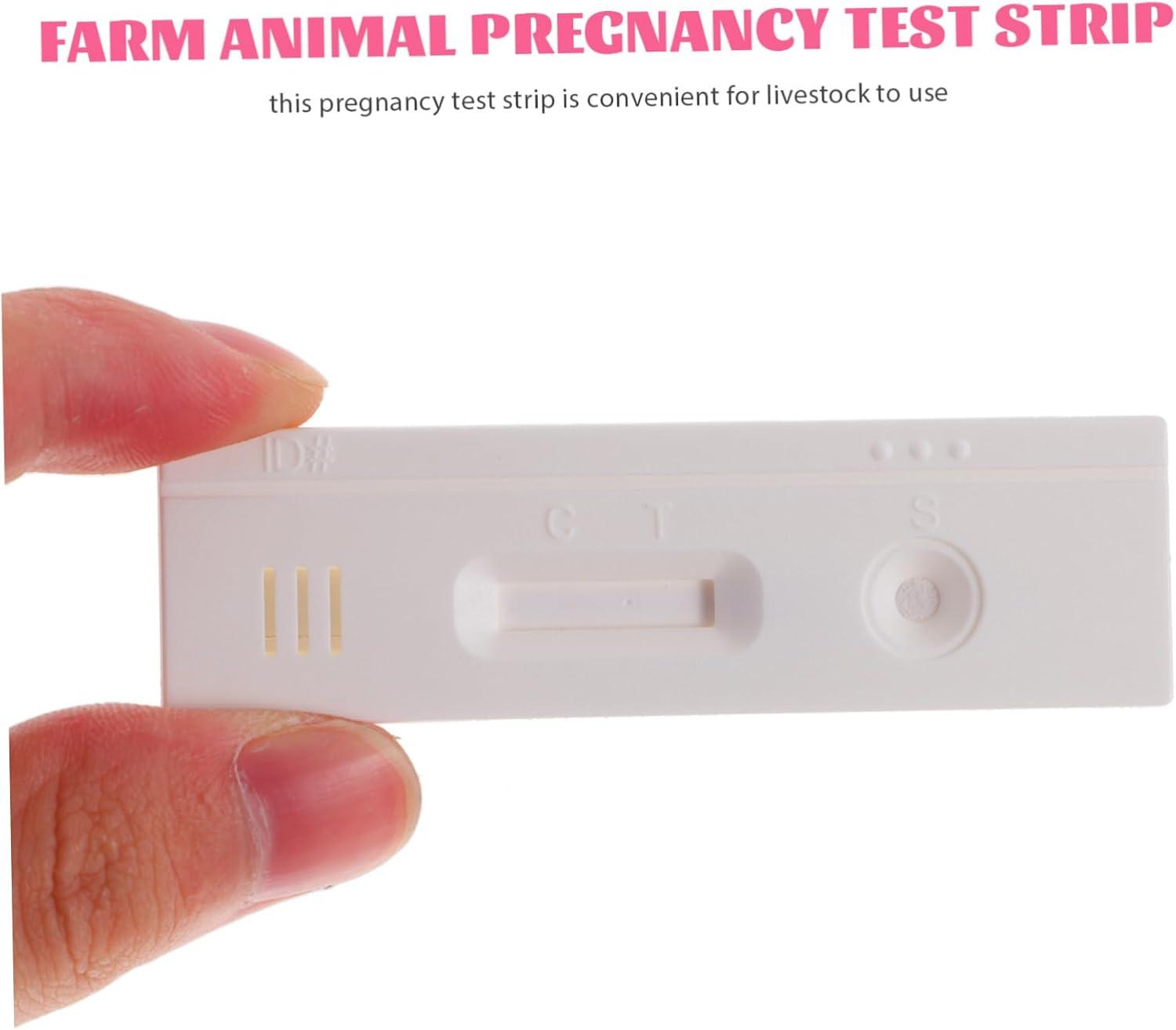 Buy Homsfou Pregnant Tester Strips for Animals - Early Pregnancy Test ...