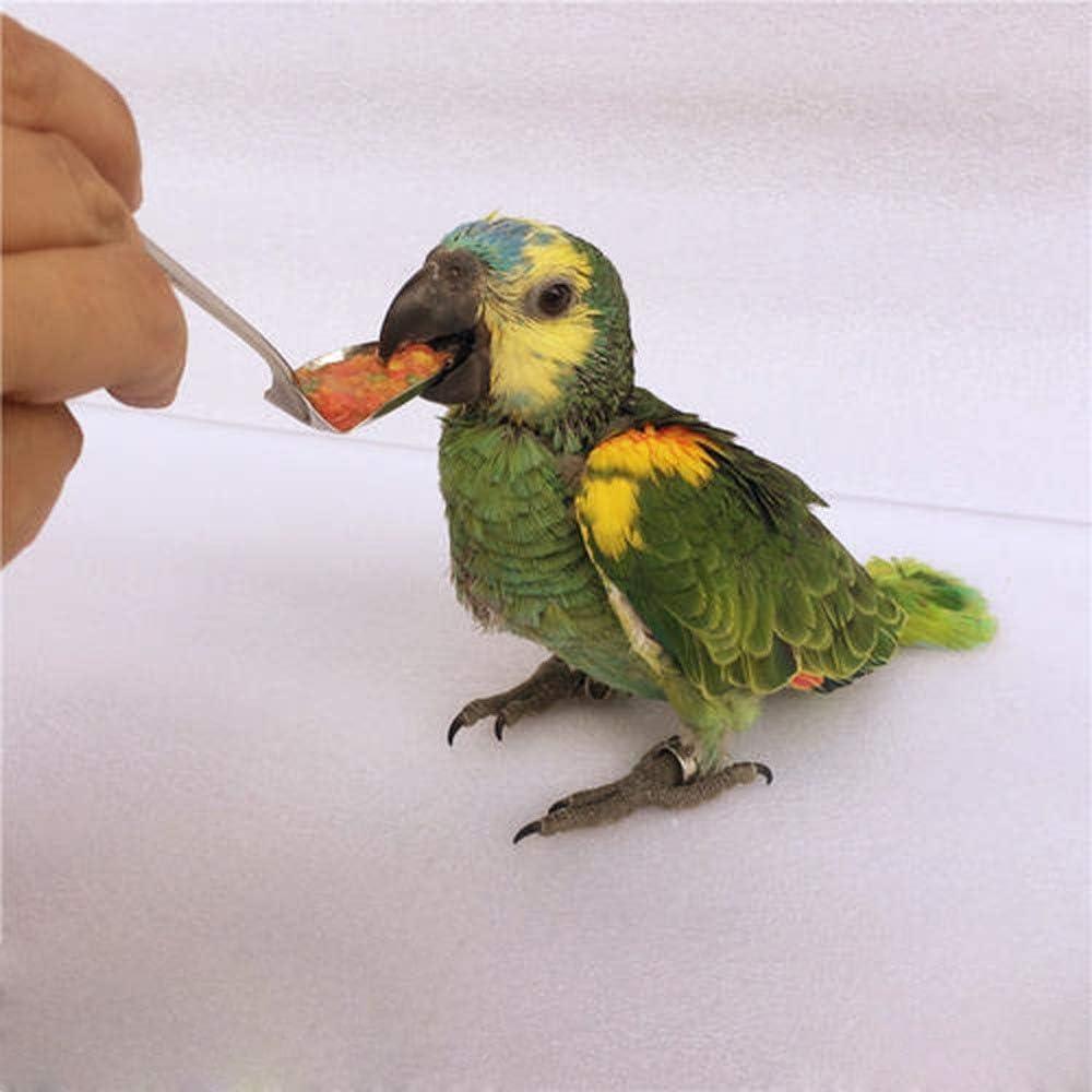 Birds Feeding Syringe Manual Feeding Rearing Gavage Curved Needle ...
