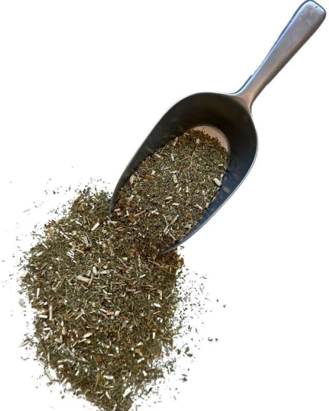 Canadian Flea Herbal Tea (Erigeron) plant CT 250 GRS Erigeron Canad ...