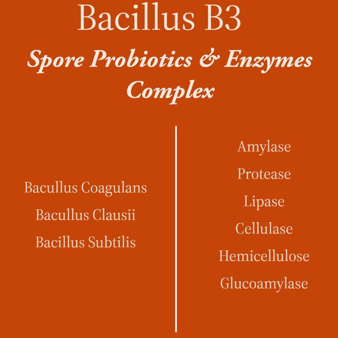 Bacillus B3 Probiotic Complex & Bioactive Enzymes - 100% Spore-Based ...