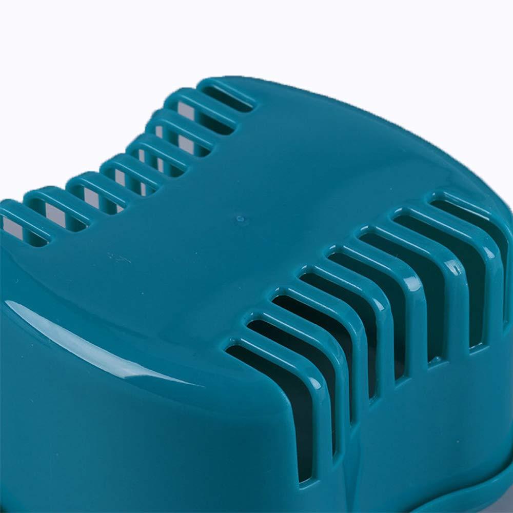 Strong Denture Case with Brush and Cups - Lake Green | Denture Holder ...