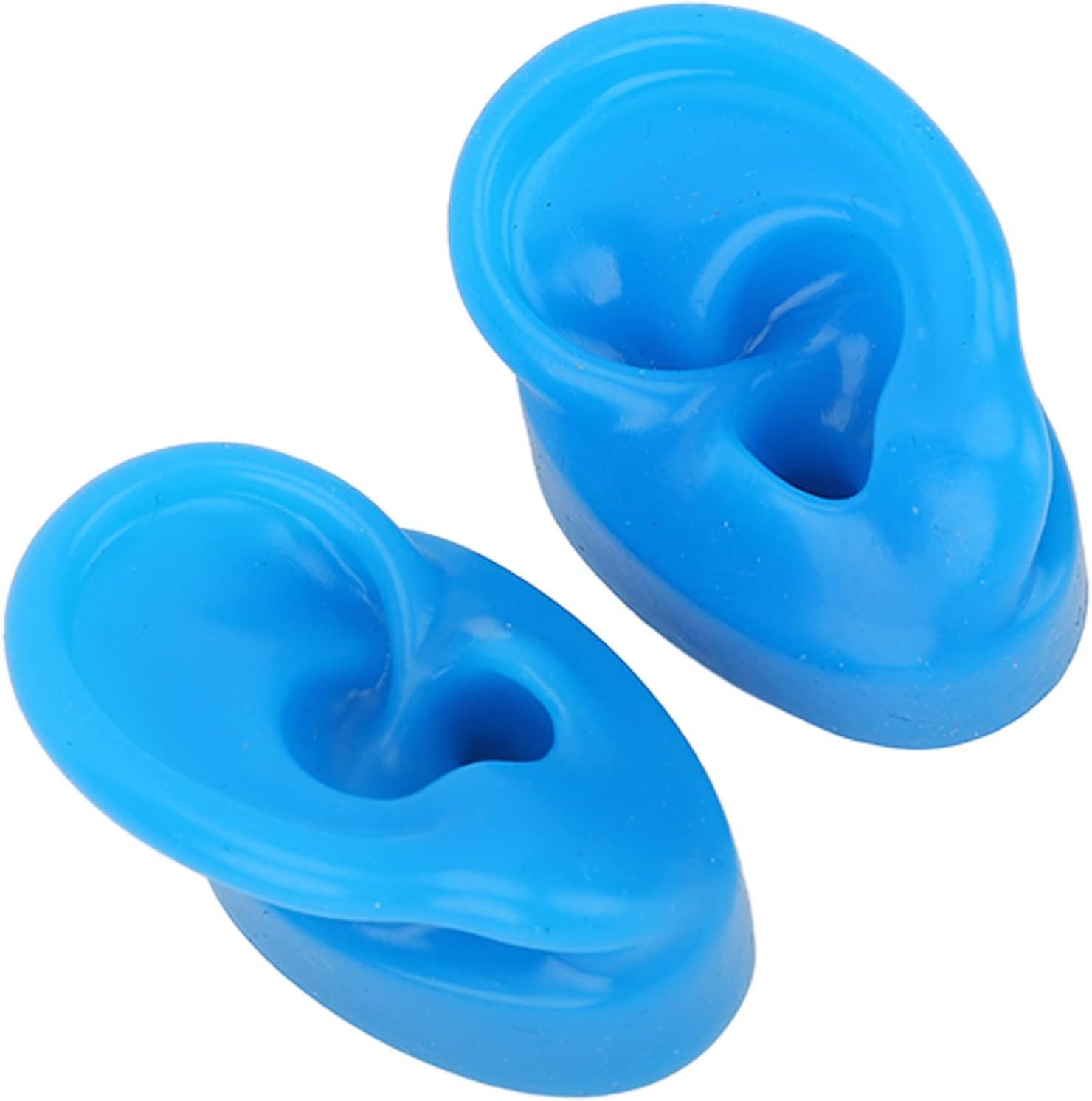 Silicone Human Ear Model (Small) - Reusable Teaching Prop for Schools ...