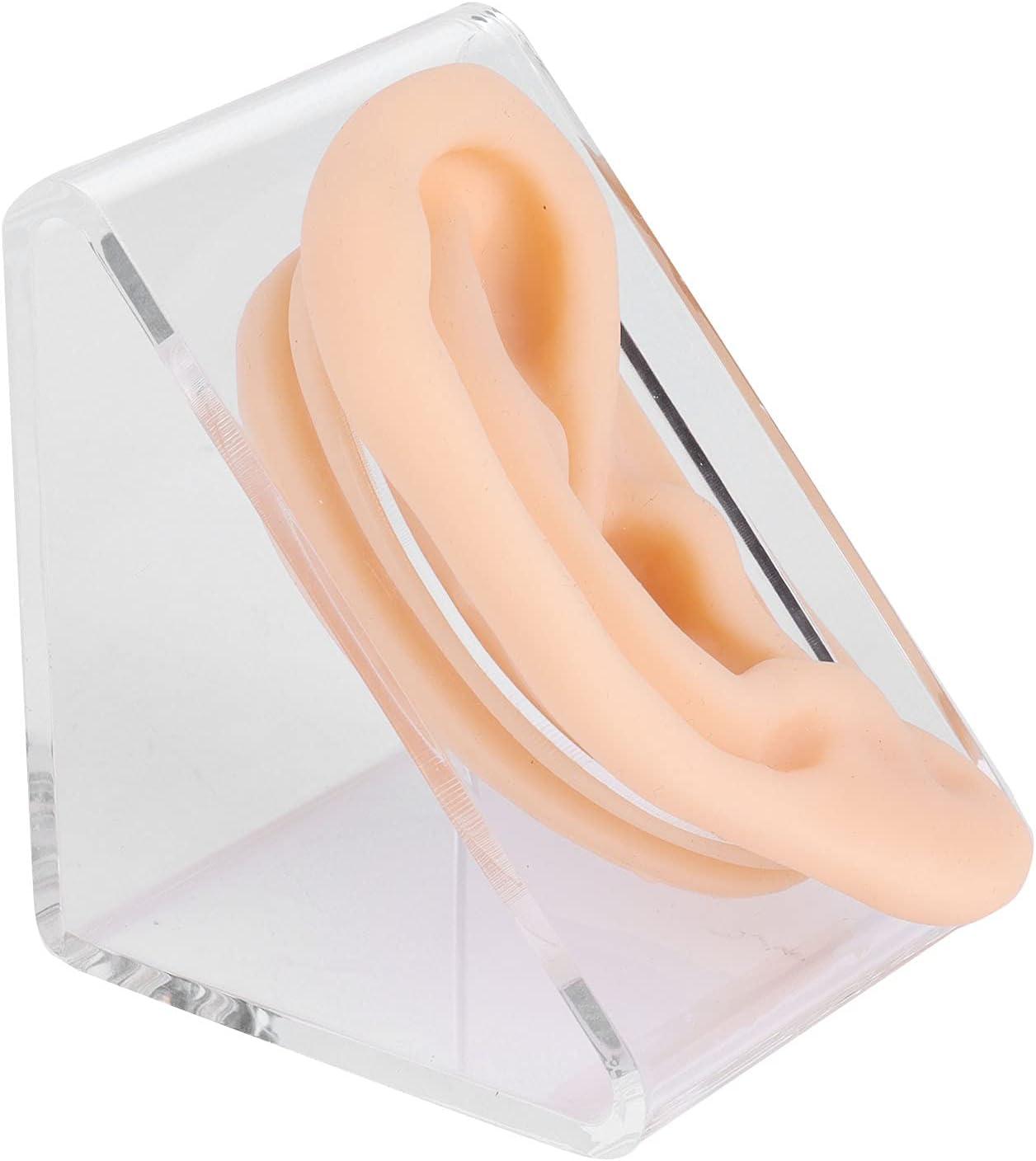 Silicone Ear Model for Acupuncture Practice | Realistic Fake Ear with ...