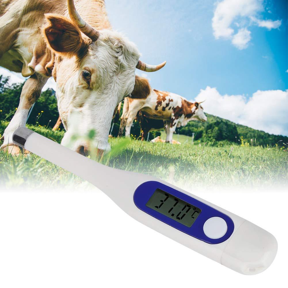 LCD Digital Animal Thermometer for Cattle Sheep Horses Pigs Dogs Use ...