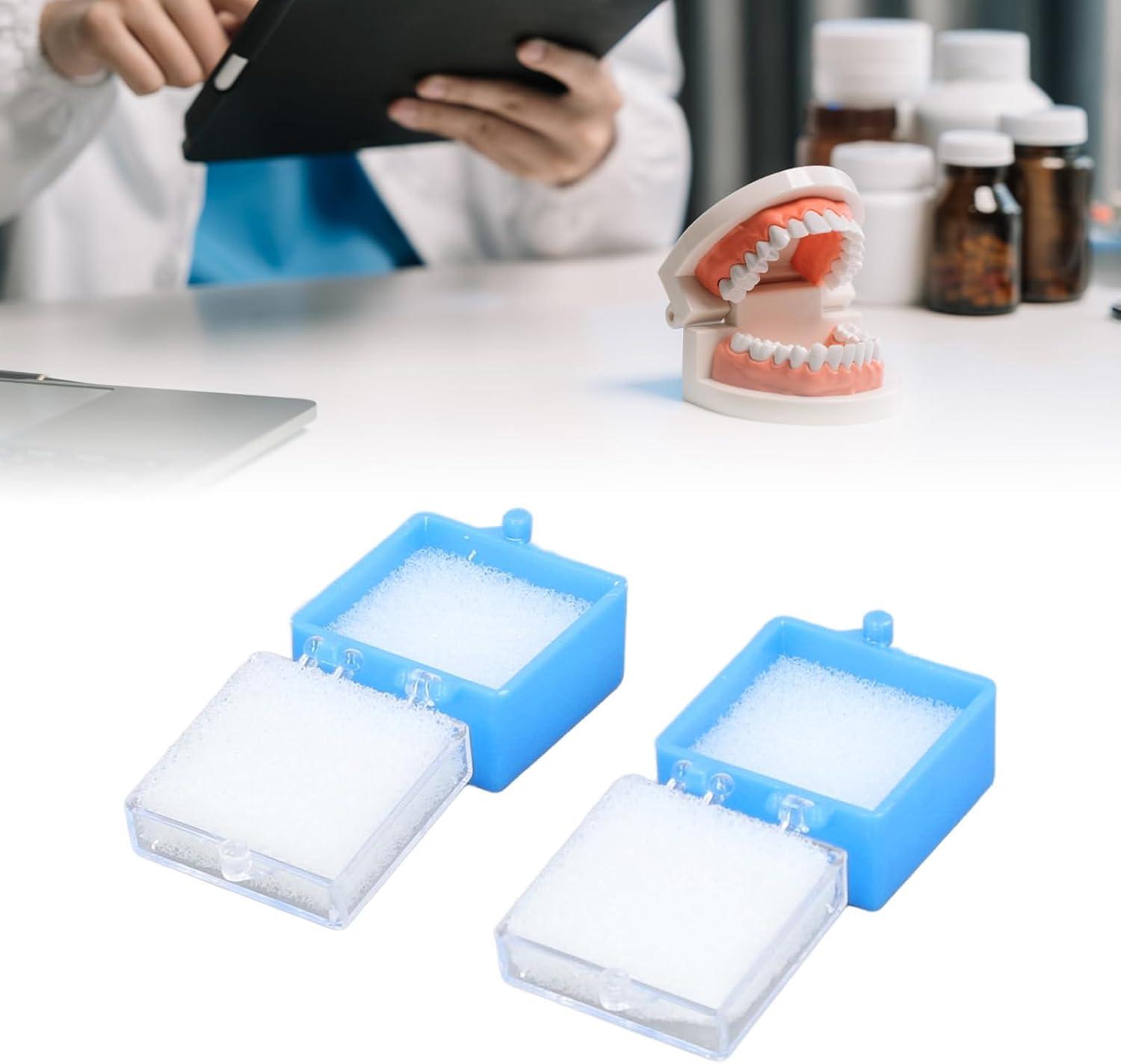 Pack of 20 Durable Plastic Bridge Boxes for Denture Storage | Foam ...