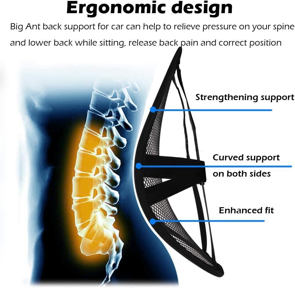 Big Ant Lumbar Support Car Back Support - Ergonomic Design for Comfort ...