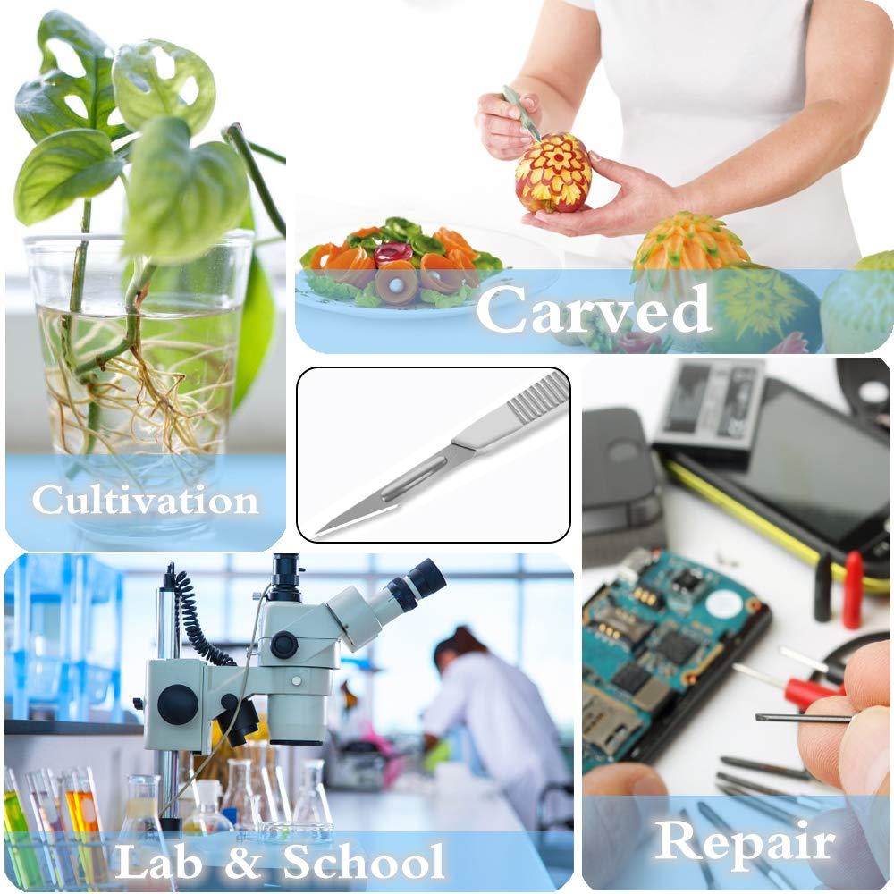 Scalpel Sterile Blades 10 10pcs with 3 Scalpel Knife Handle ...