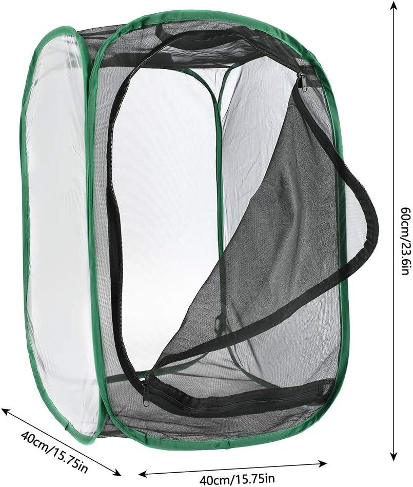 Butterfly Habitat Net Collapsible Insect Bug Habitat Cage Catcher Net ...