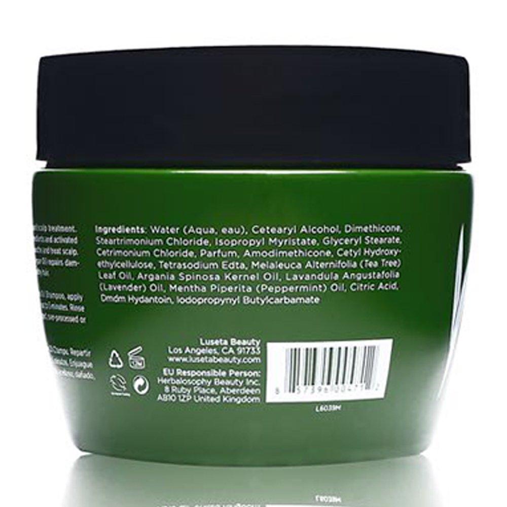 Luseta Tea Tree Oil Hair Mask 16.9 oz - Hydrating Treatment for Itchy ...