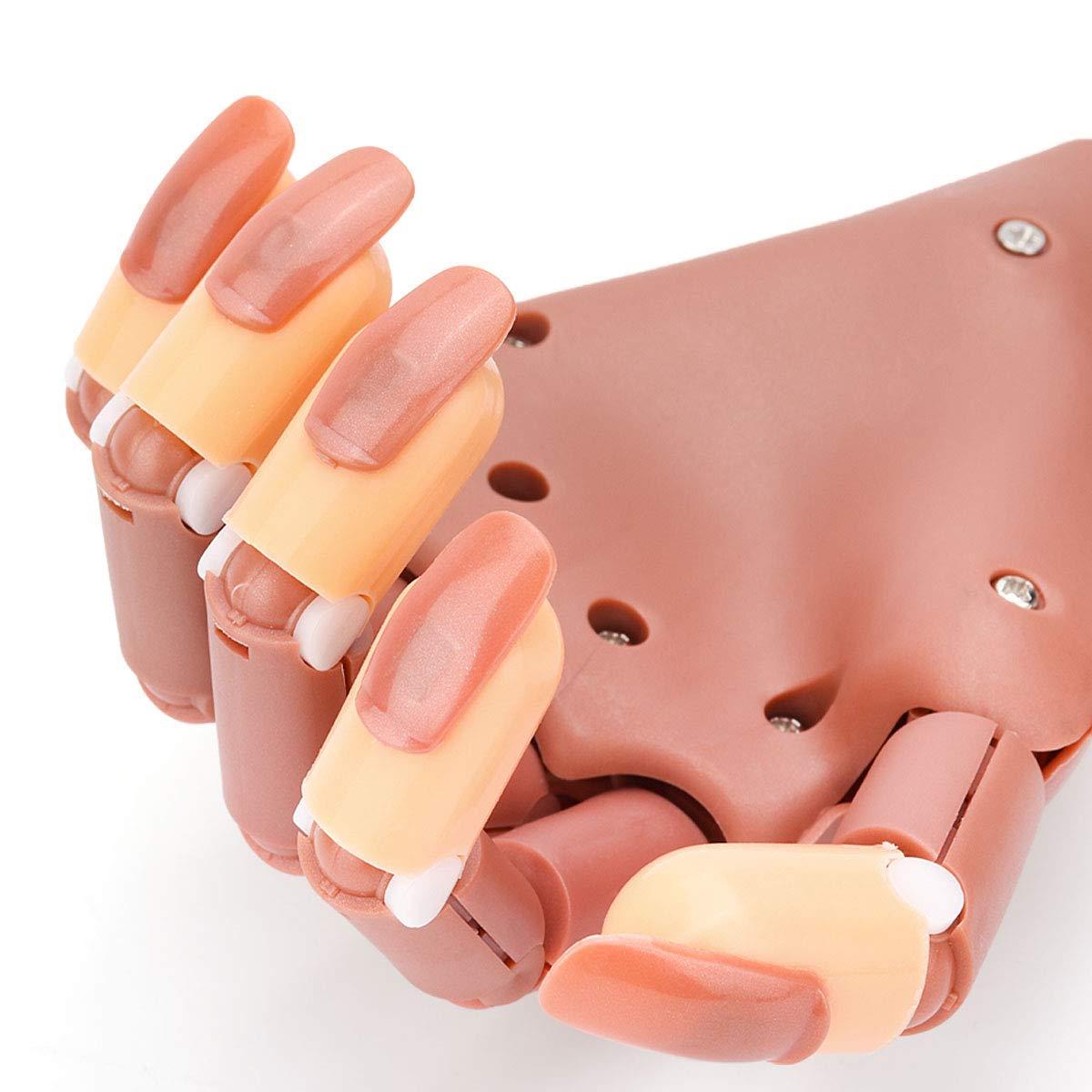 Flexible Nail Training Hand with 300 Refillable Tips - DIY Manicure ...