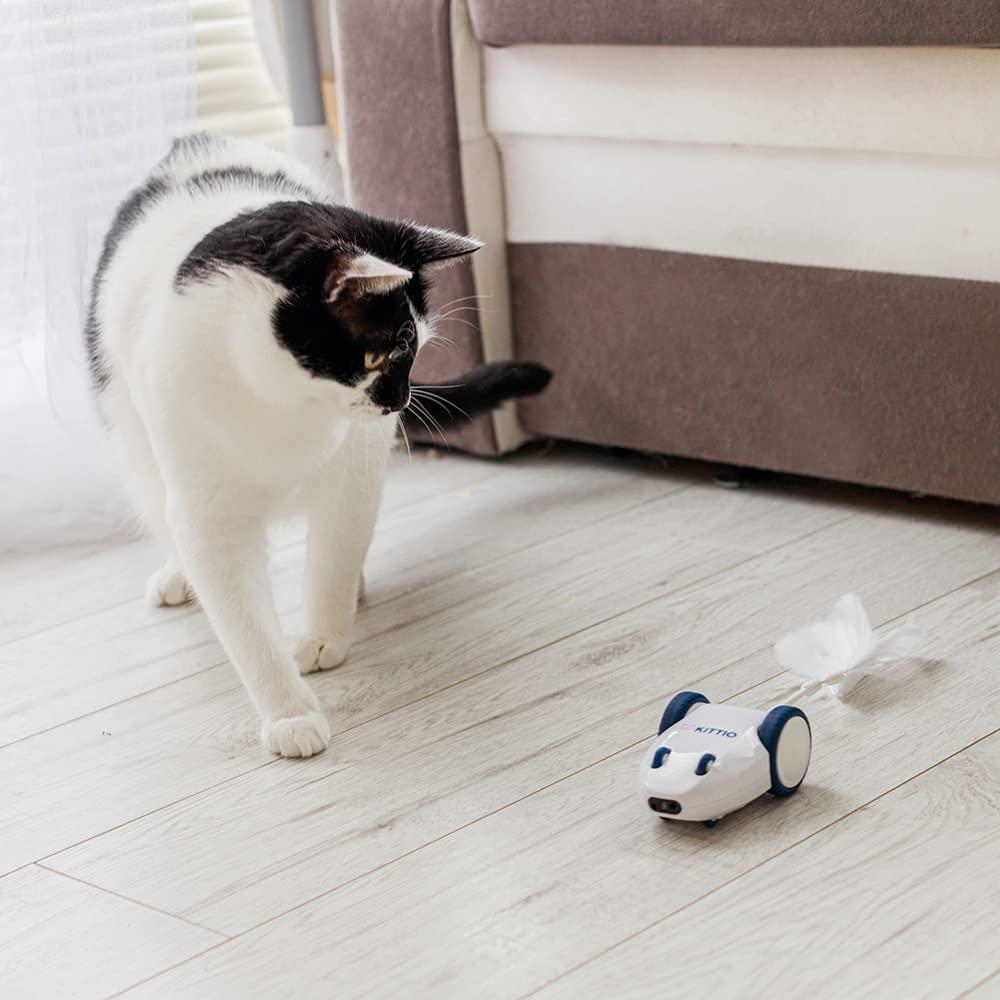 Kittio Robo Mouse: Interactive Cat Toy with Smart Steering Sensors - USB Charging | Buy Now with ...