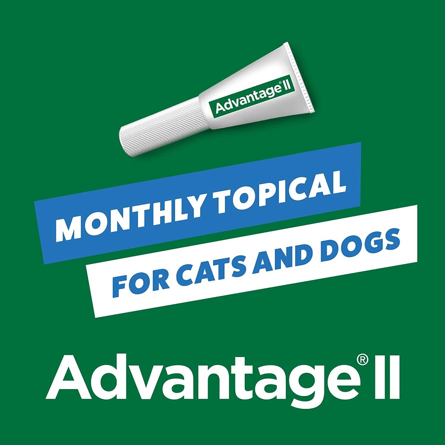 Advantage II Once-A-Month Topical Kills Flea for Kitten, Count of 2 ...