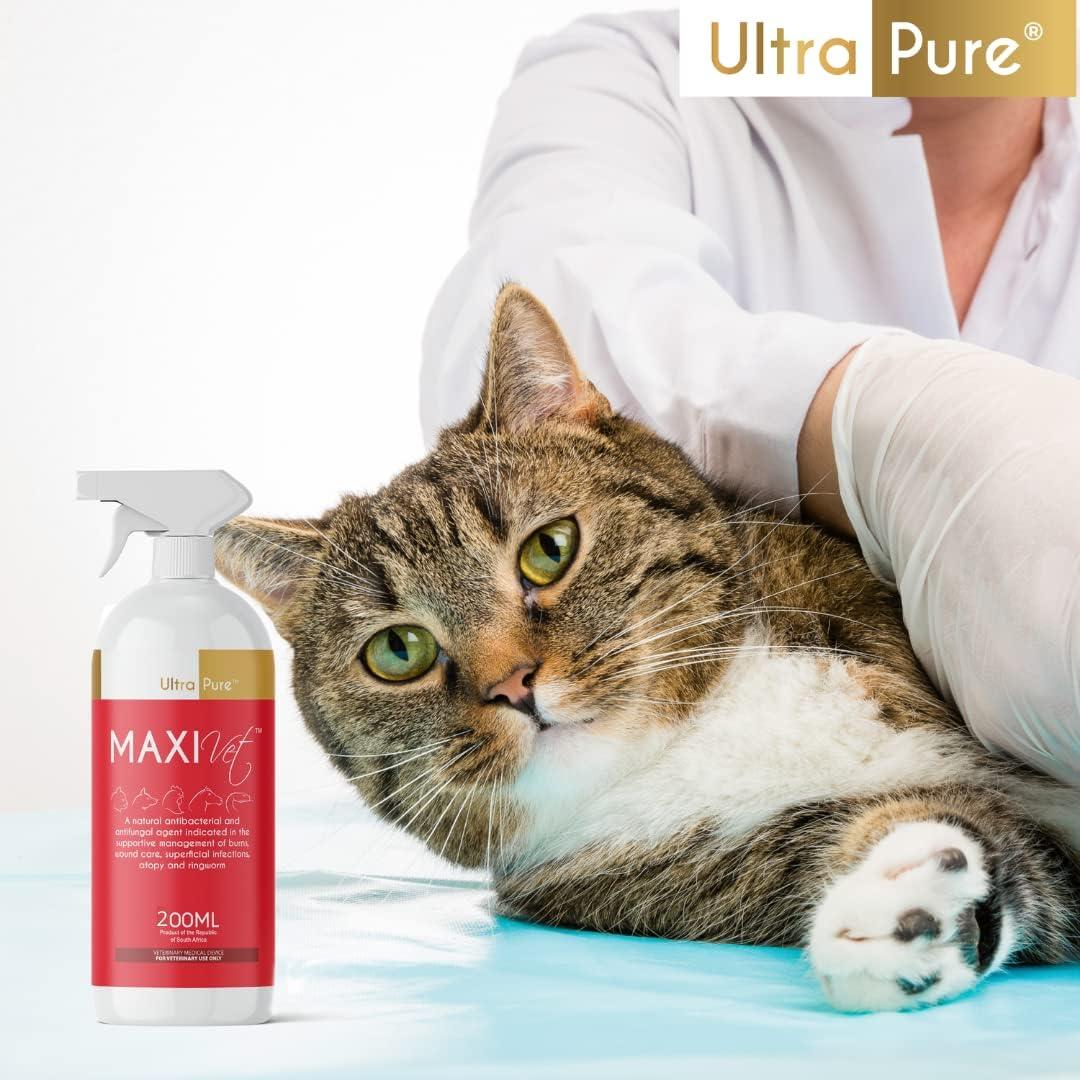 MaxiVet Wound Spray - Antibacterial and Antifungal Solution with Hypochlorous Acid - 200ml | Buy ...