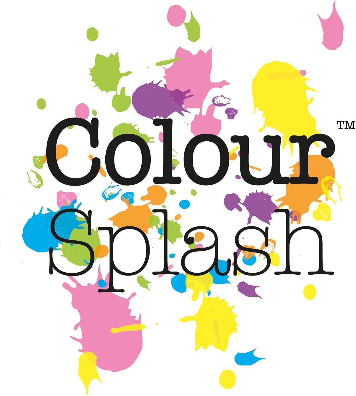 COLOUR SPLASH Edible Food Colouring Pen Dual Tip Icing Pens - Blue 2ml ...