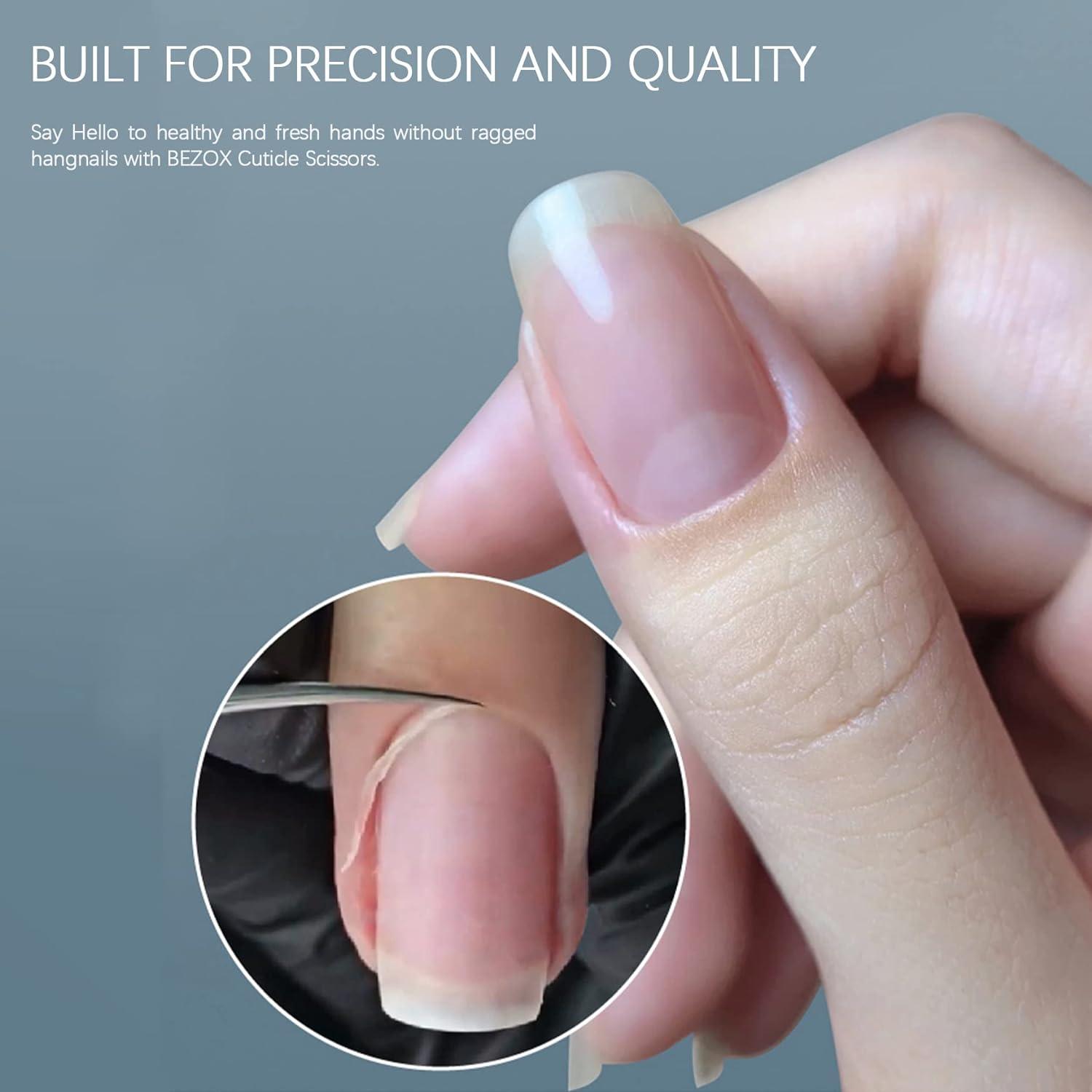 Bezox Extra Fine Curved Skin Scissors - Professional Stainless Steel ...