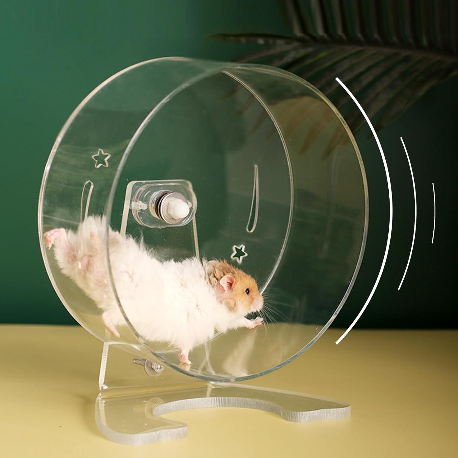 empty hamster wheel