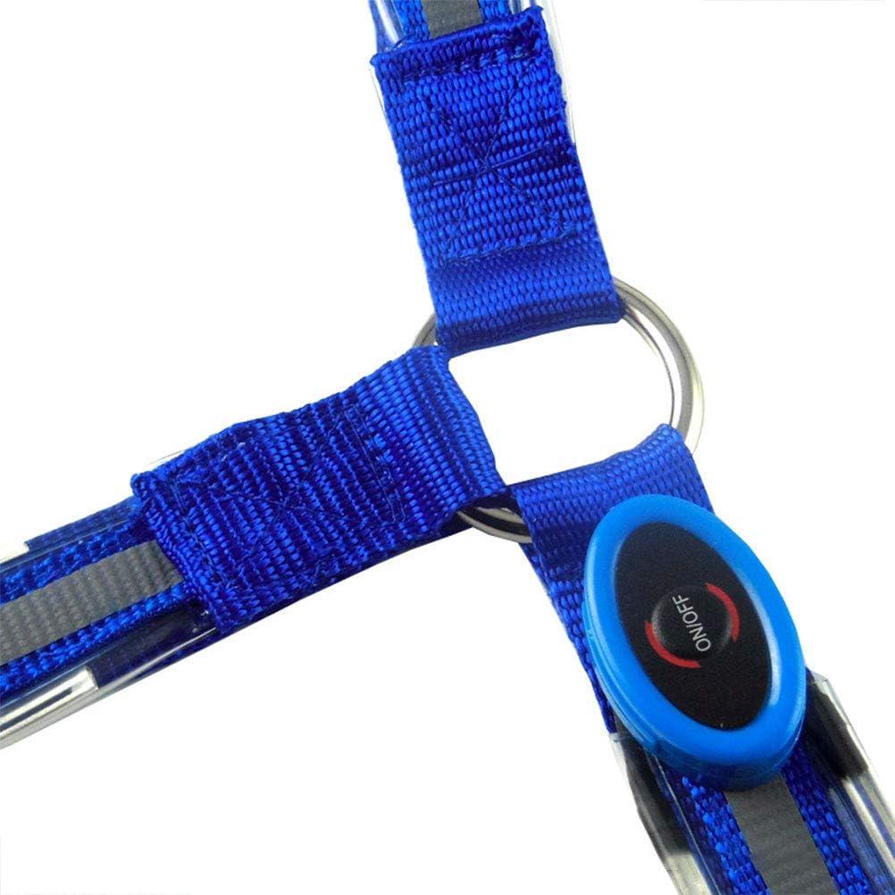 Premium LED Horse Harness | Robust & Comfortable Chest Strap - Best ...