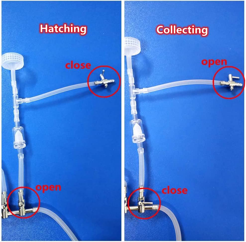 PUPUZAO 2-Way Soda Bottle Brine Shrimp Hatchery Kit - Artemia Hatching ...