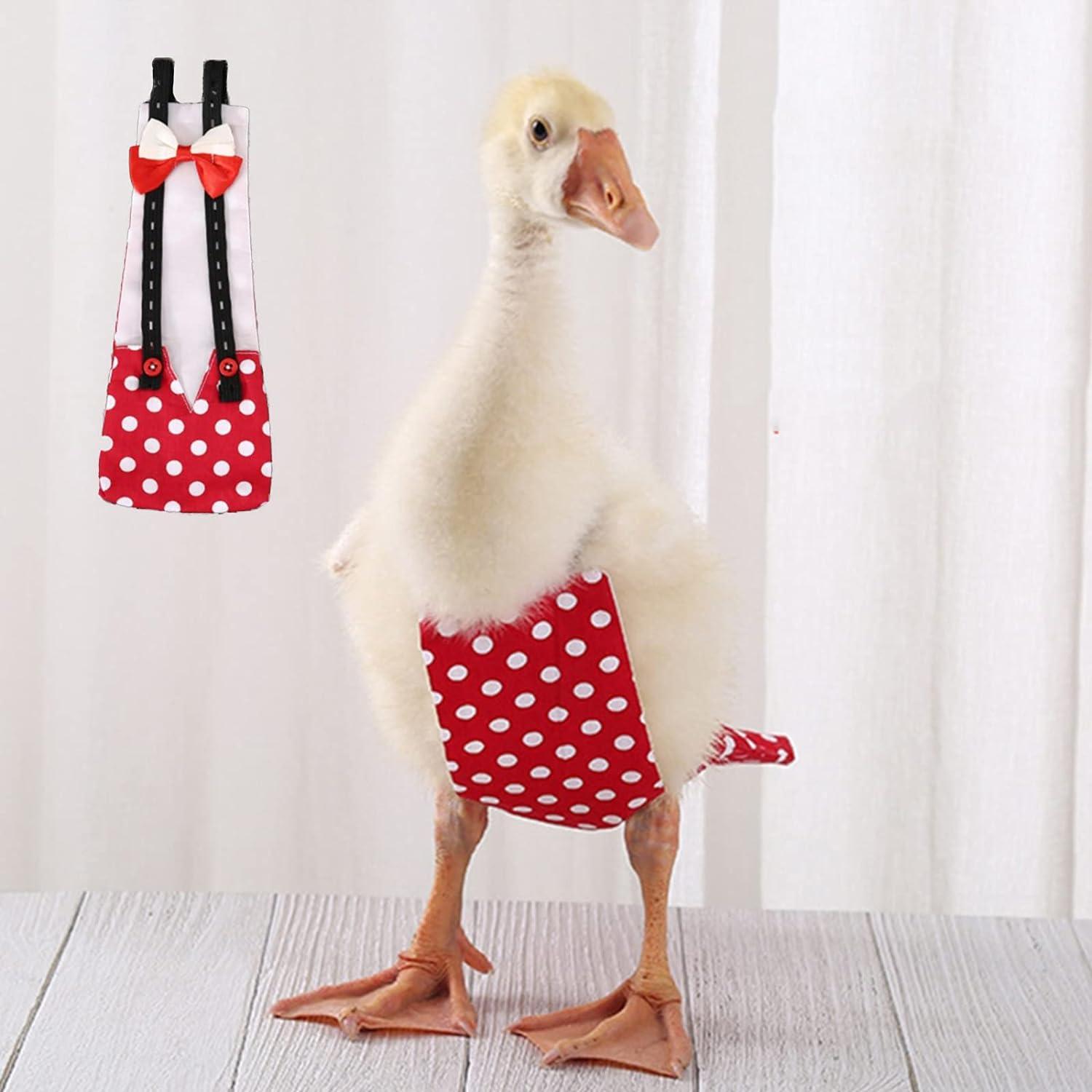 CDIYTOOL Chicken Duckling Diapers 3 Pack Pet Poultry Diapers Washable ...