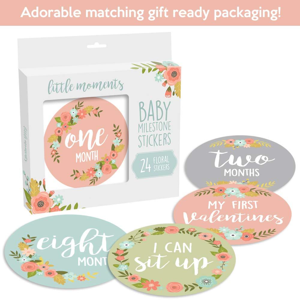 Floral Baby Monthly Stickers for Girls | Set of 24 Newborn Milestone ...