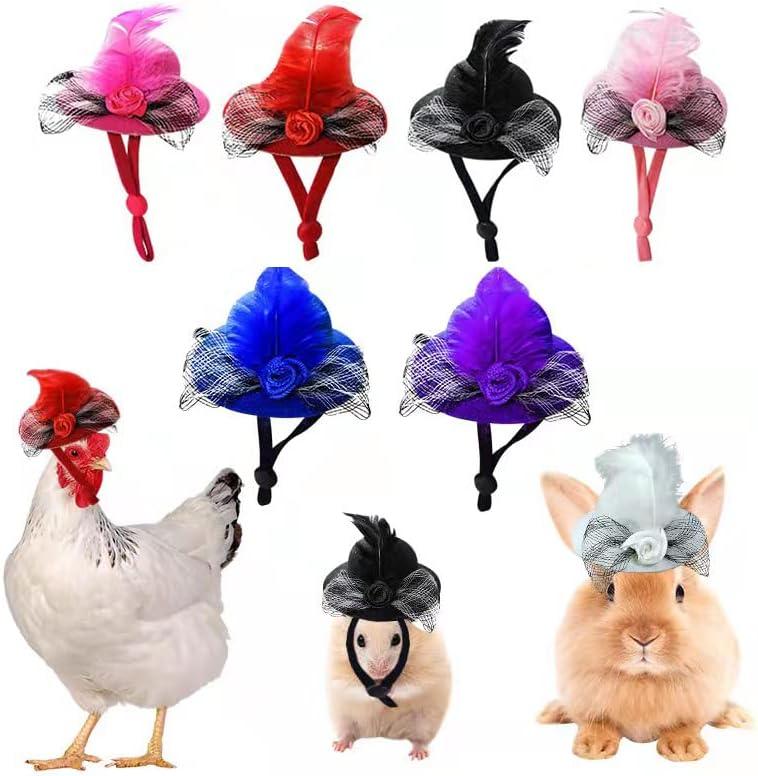 Elastic Chicken Hats for Hens - Set of 6 Funny Accessories for Rooster ...