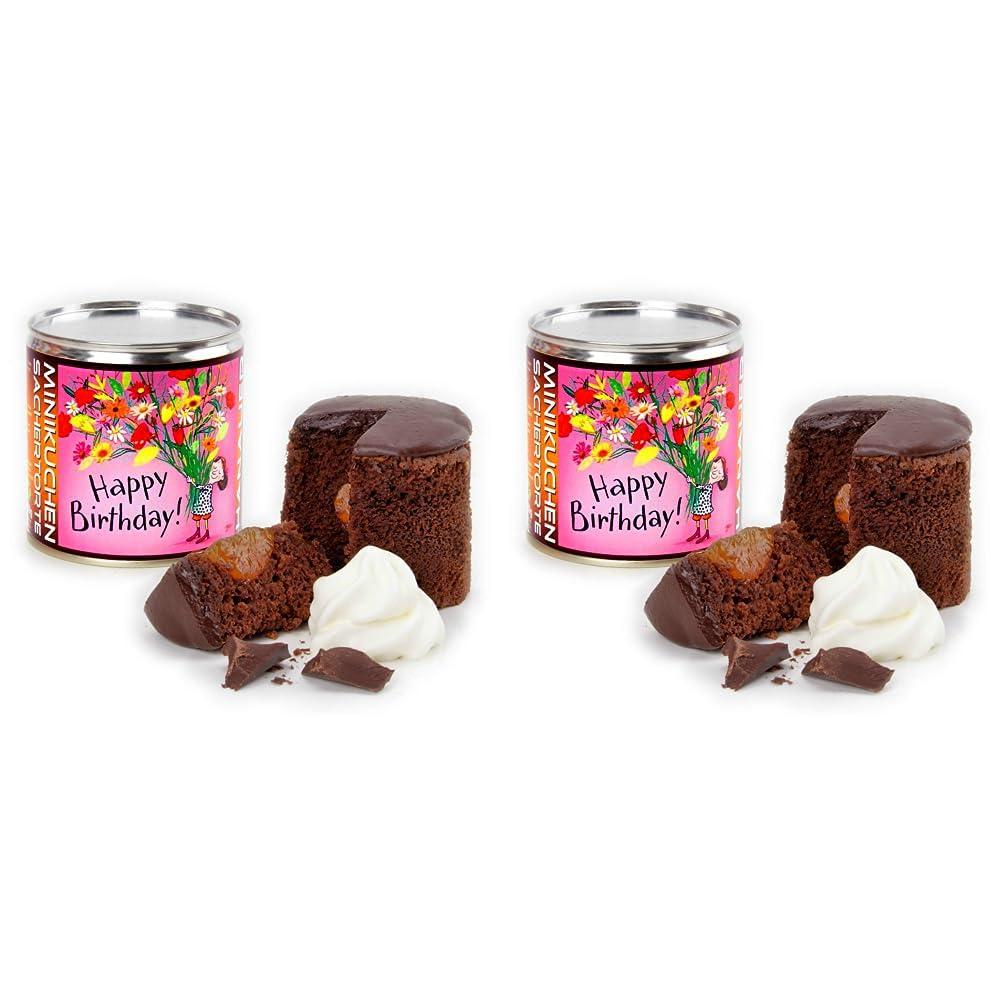 Buy Hanauer Bio Sachertorte (Pack of 2) - Premium Organic Birthday Cake ...