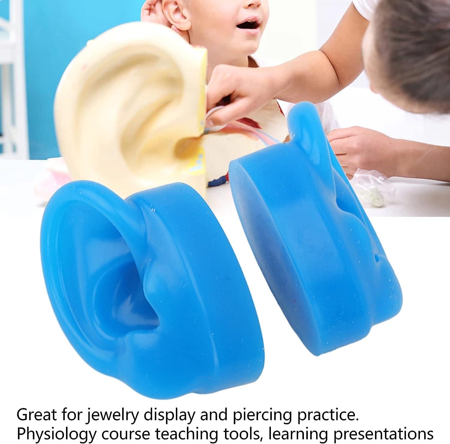 Soft Silicone Ear Model Pair for Demonstration & Teaching - Flexible ...
