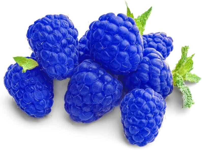 Cupcake World Liquid Baking Food Flavourings Essence Blue Raspberry ...