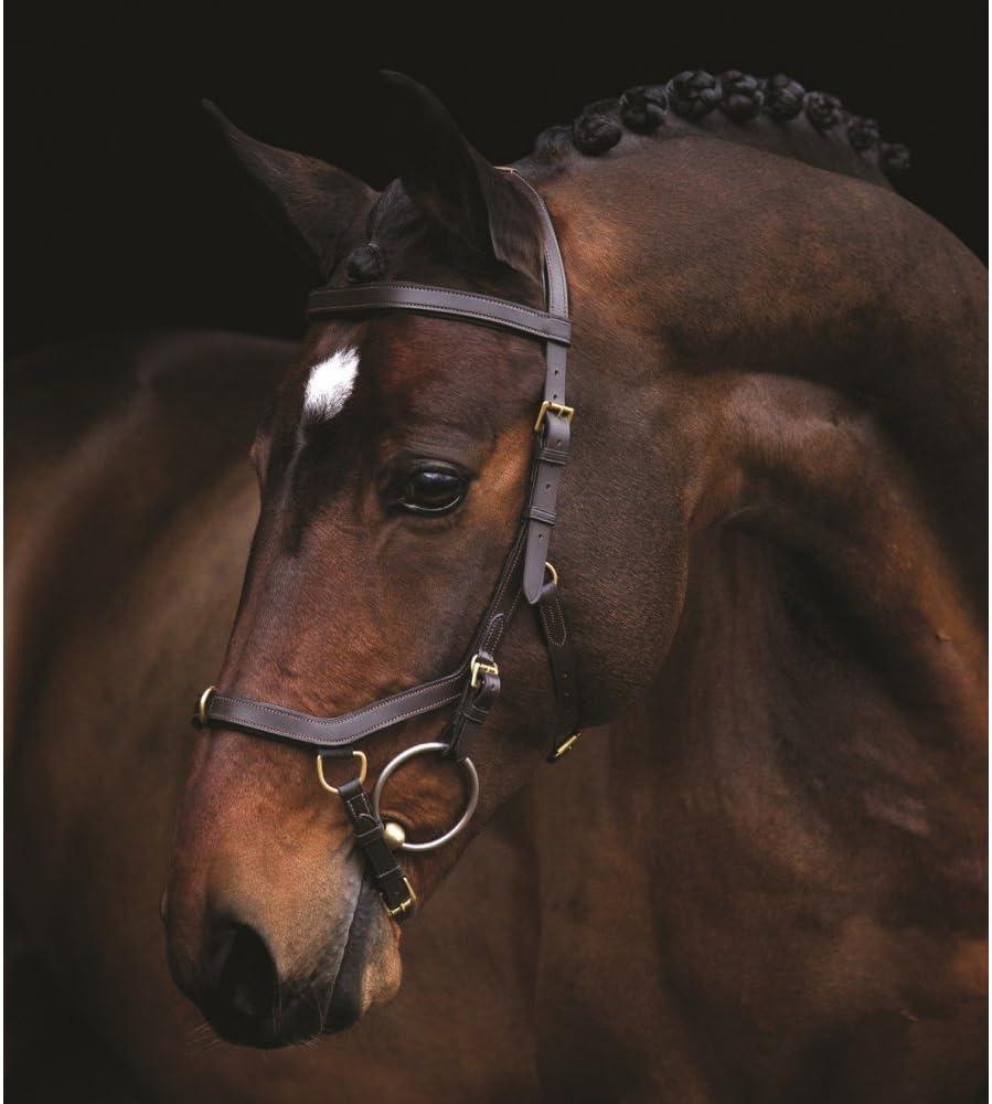 Buy Horseware Rambo Micklem Multibridle 3 in 1 - Selectable Sizes ...