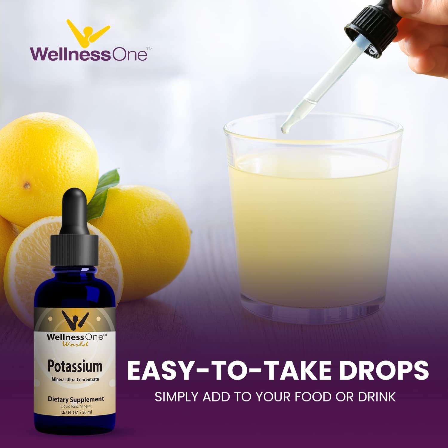 Potassium Liquid Supplement for Metabolic Function & Immune Support - 1 ...