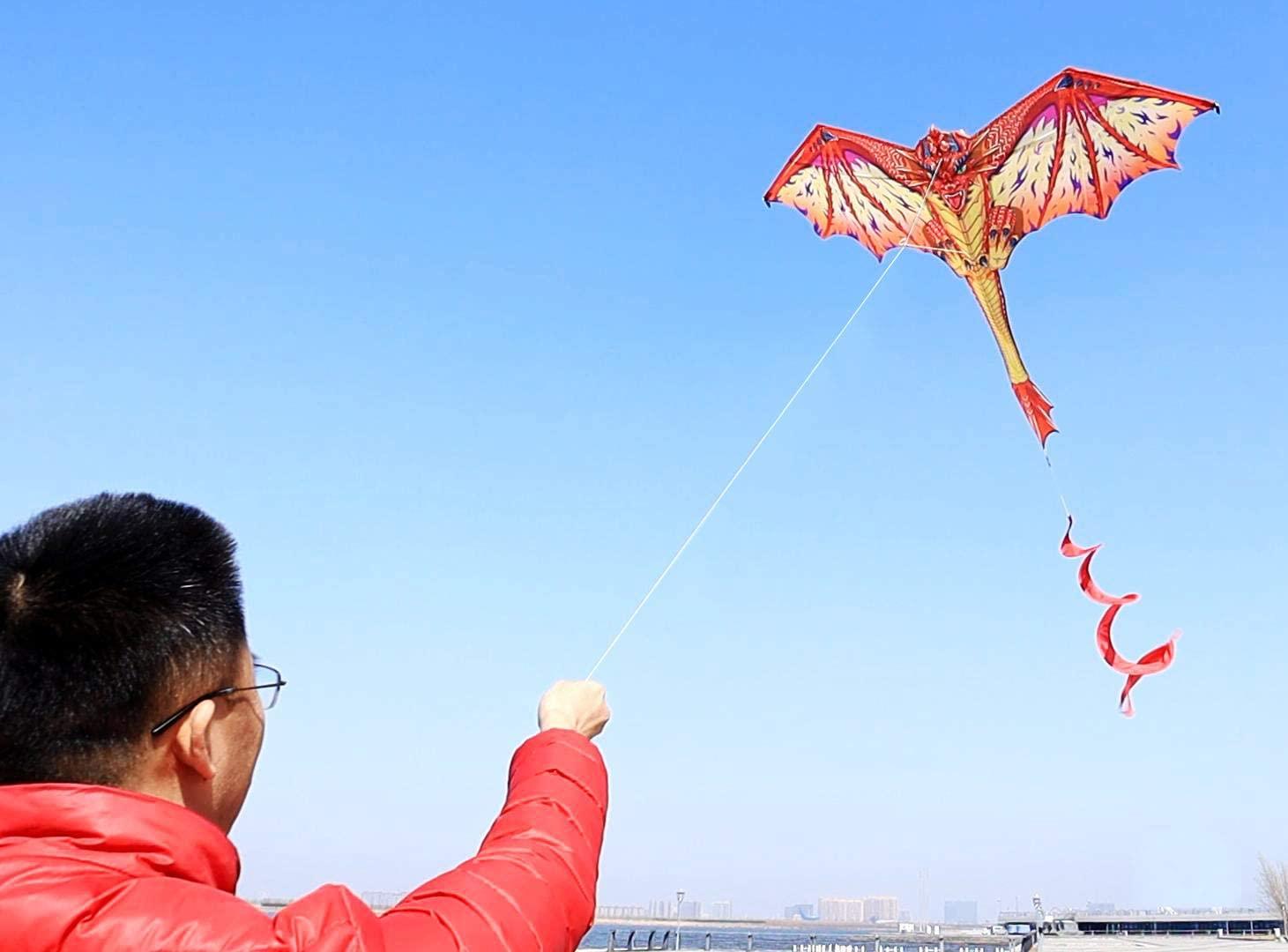 Dragon Kite for Kids and Adults | Easy-to-Fly Beginner Kite with ...