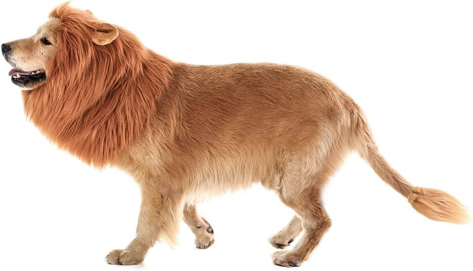 TOMSENN Dog Lion Mane - Realistic & Funny Costume Accessory for Medium ...