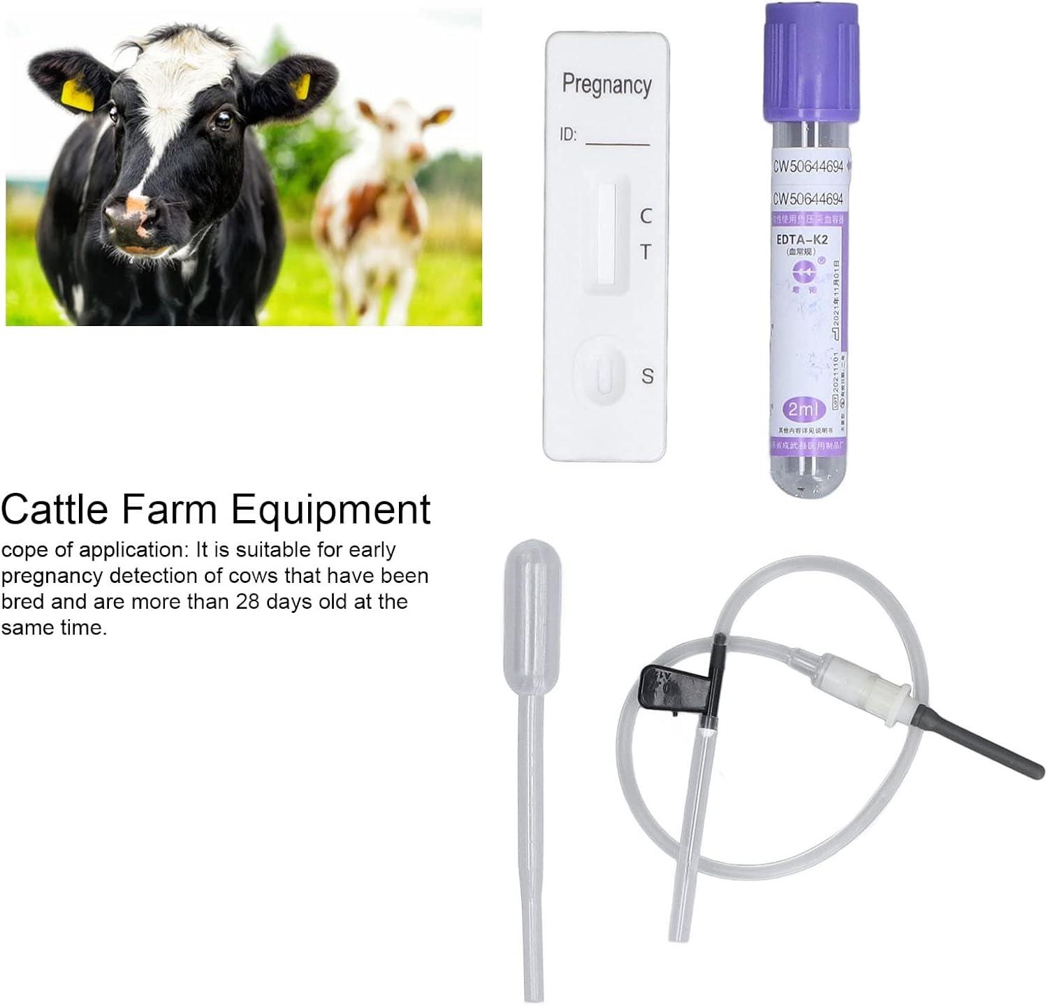 Best Cow Pregnancy Test Kit | Accurate Dairy Cow Pregnancy Test Card ...