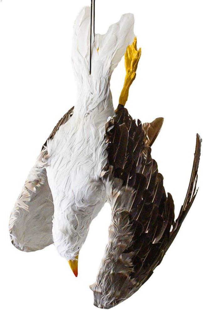 Bird Boat Deterrent Kit: Dead Seagull Effigy & 6' Sweep - Keep Birds ...